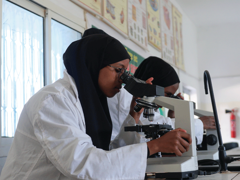 Direct-Aid carried out 2,257 educational projects for all grades in ...