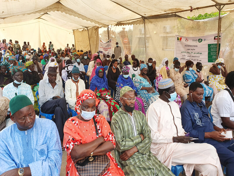 Direct Aid Office in Senegal carried out 3,267 eye surgeries during the ...